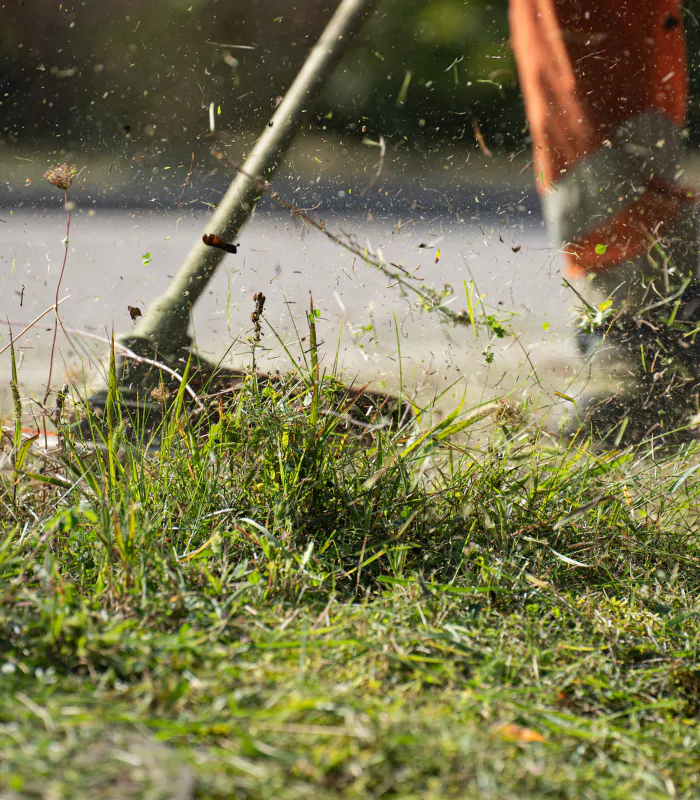 Artificial Turf Installations | West Coast Turfs